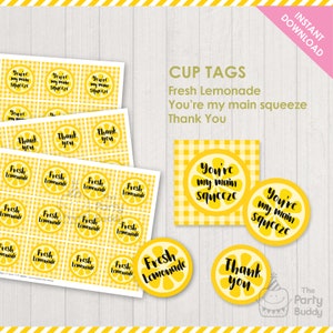 Pink Lemonade Stand Printable Kit | Sunshine Party Decor | INSTANT ...