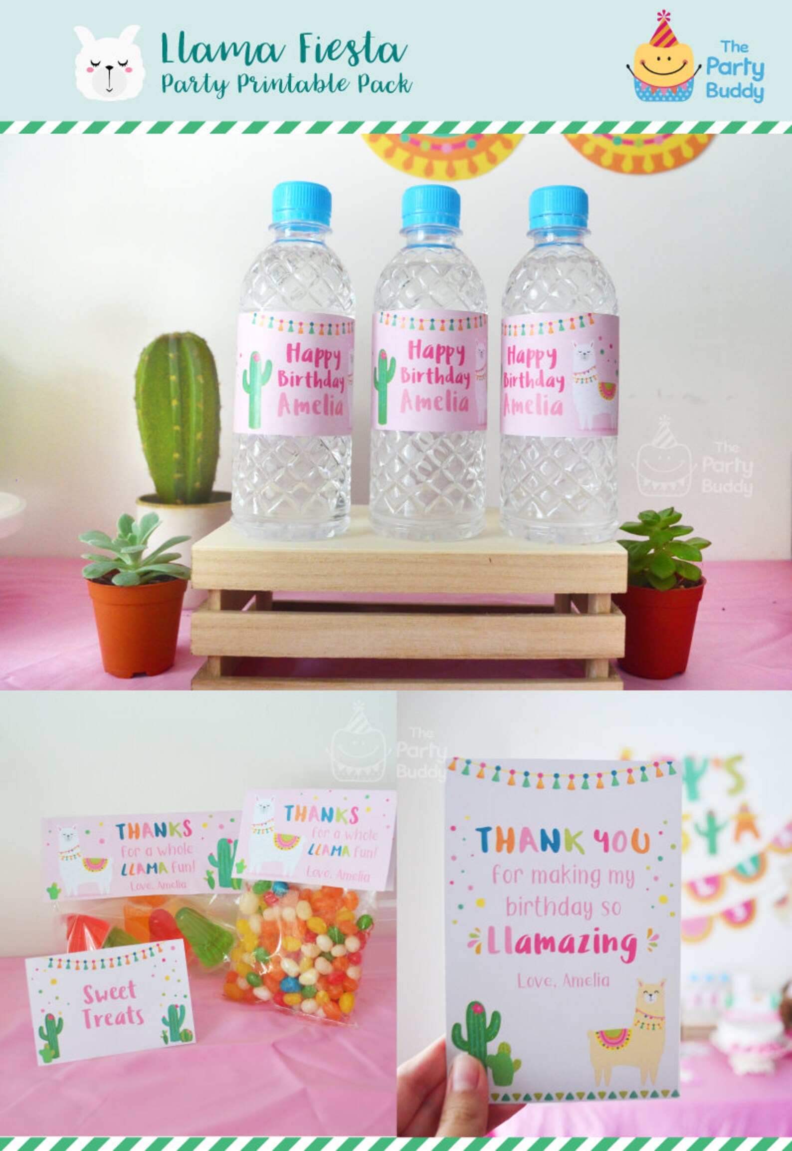 Llama Fiesta Party Pack Girls Llama Cactus Alpaca Birthday - Etsy