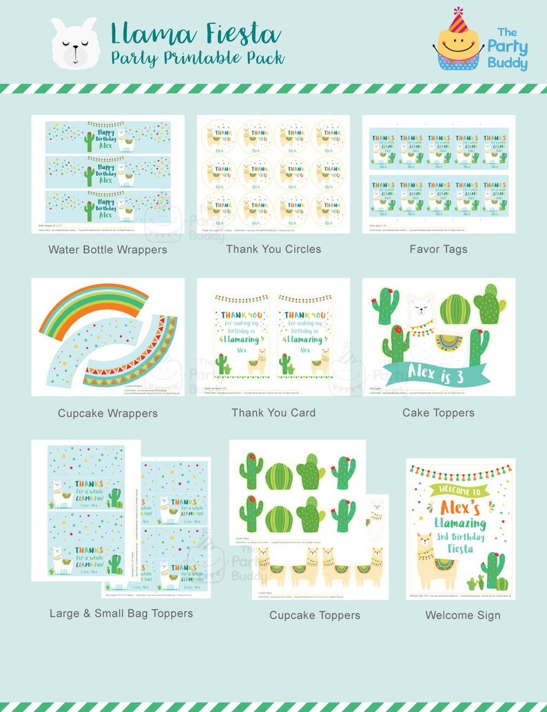 Llama Fiesta Party Pack Boys Llama Cactus Alpaca Birthday - Etsy