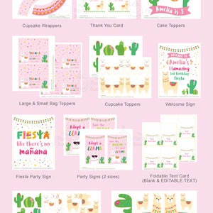 Llama Fiesta Party Pack | Girls Llama Cactus Alpaca Birthday Decoration ...
