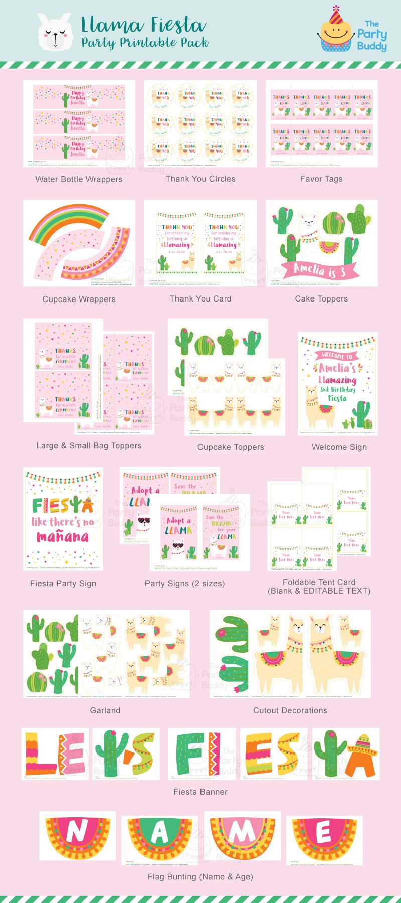 Llama Fiesta Party Pack Girls Llama Cactus Alpaca Birthday | Etsy