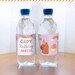 Capybara Bottle Label Girl Capy Birthday Bottle Wrapper Printable ...