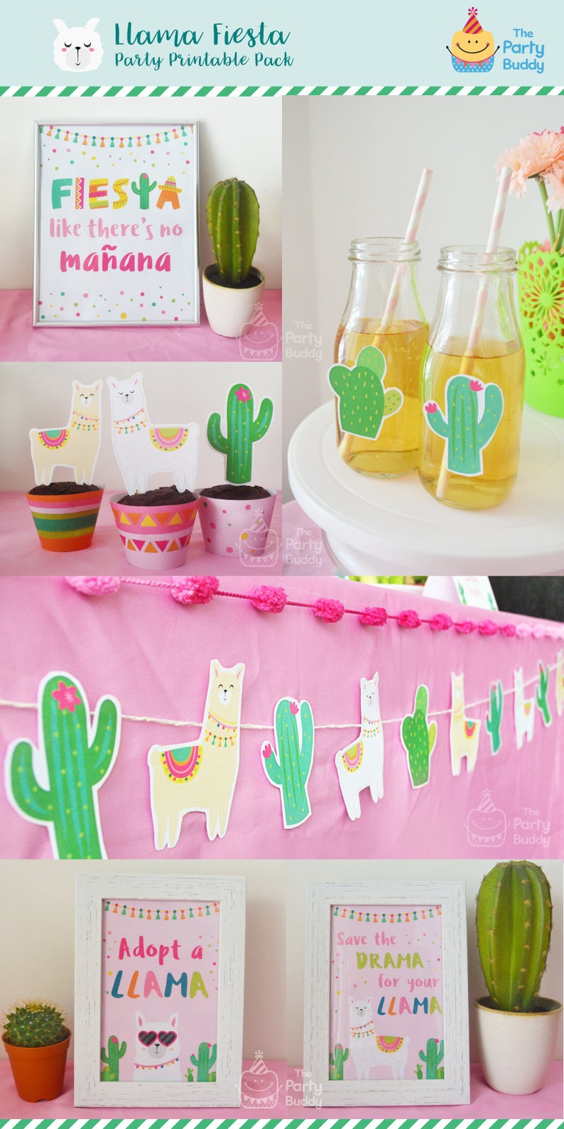Llama Fiesta Party Pack Girls Llama Cactus Alpaca Birthday - Etsy