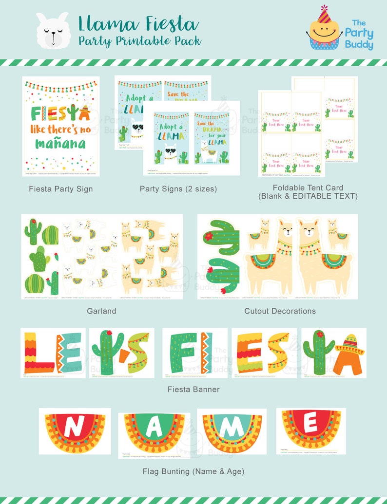 Llama Fiesta Party Pack | Boys Llama Cactus Alpaca Birthday Decoration ...