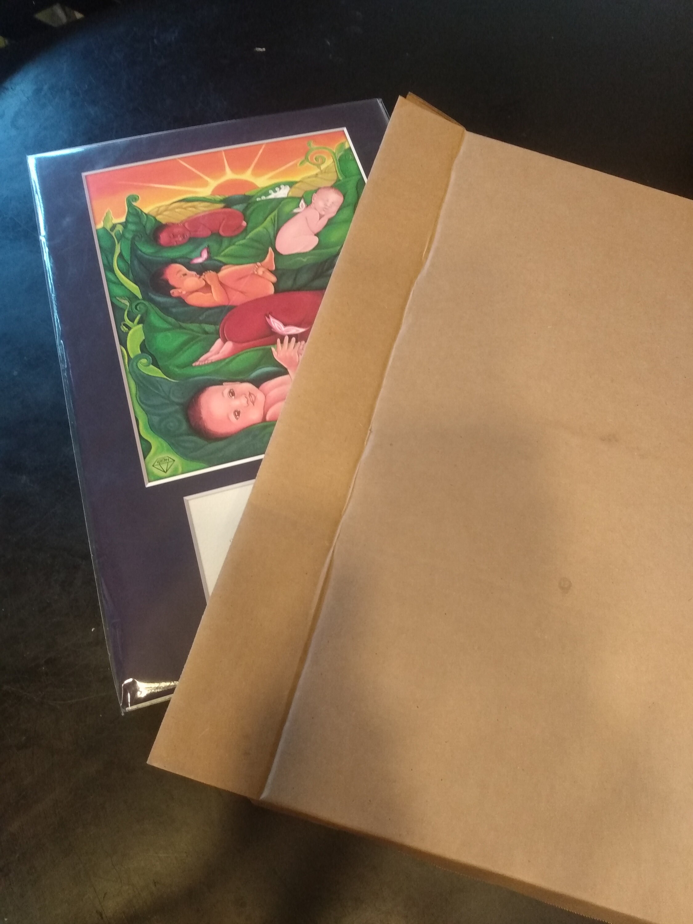 We Are All Born Free & Equal, Universal Declaration of Human Rights ...