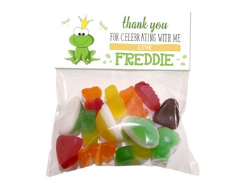 Frog Favor Bags, Frog Goody Bags, Frog Birthday Party Bags - Etsy