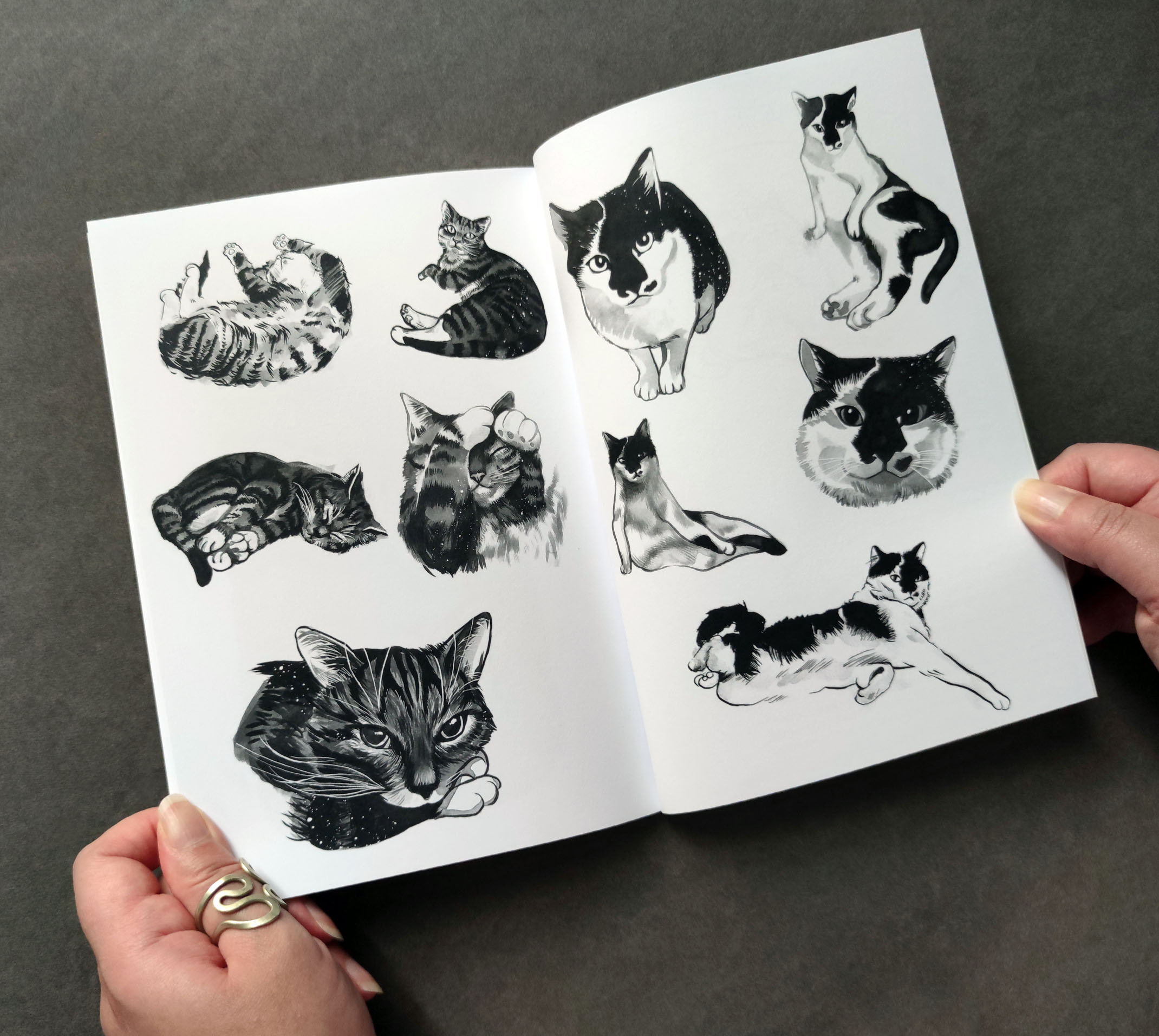 Artbook | There Are No Ordinary Cats, Art Collection, Sketch Artbook ...