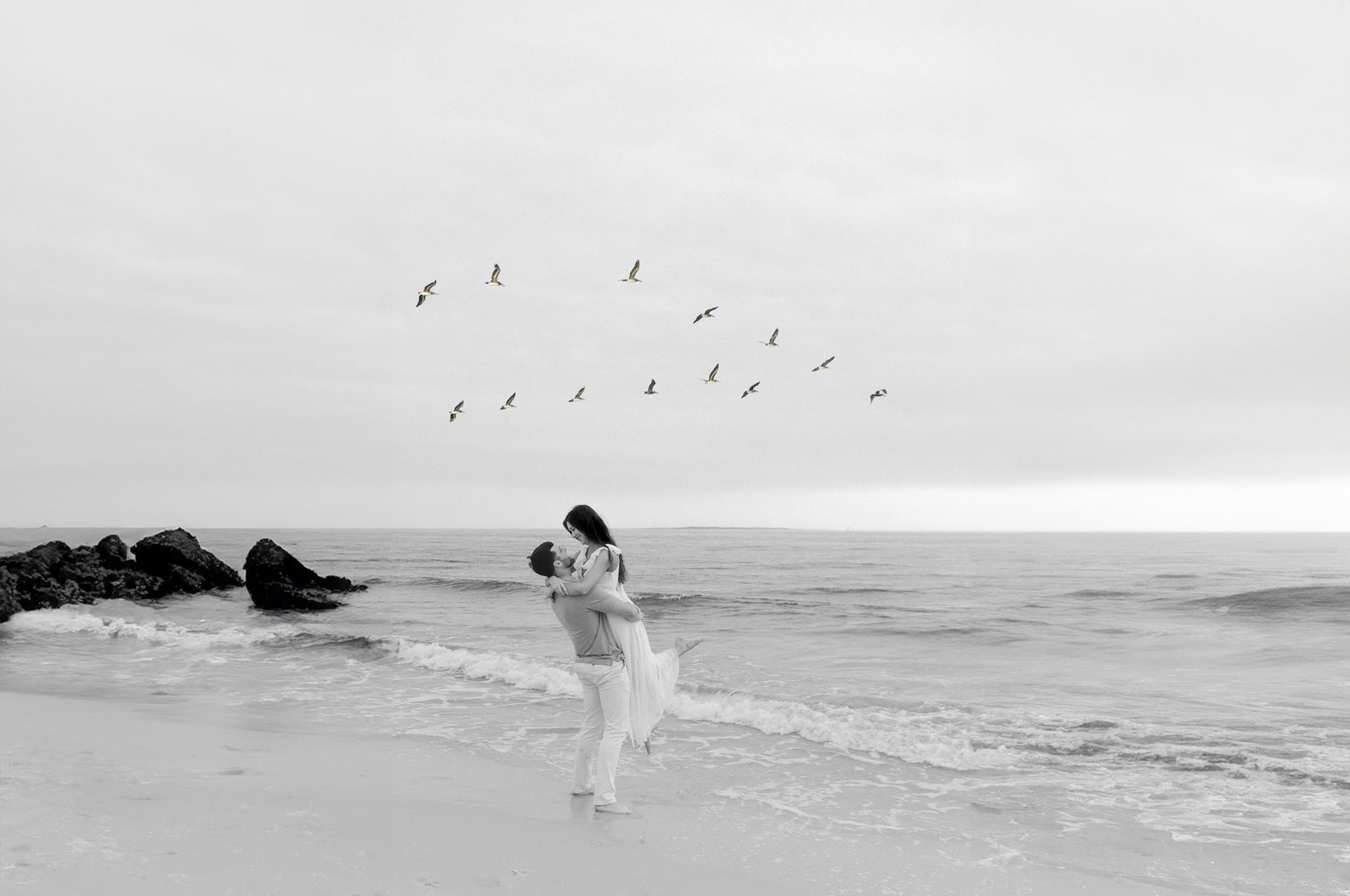 Seagulls PNG Overlay Photoshop or Canva - Etsy
