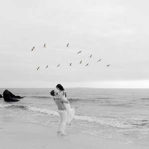 Seagulls PNG Overlay Photoshop or Canva - Etsy
