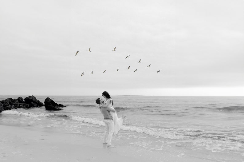 Seagulls PNG Overlay Photoshop or Canva - Etsy