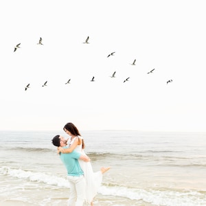 Seagulls PNG Overlay Photoshop or Canva - Etsy