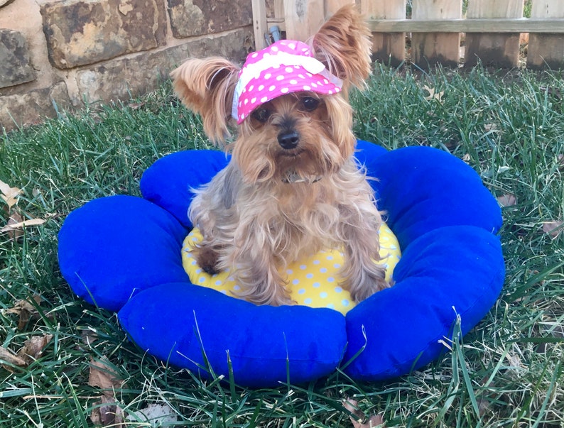 Blue and Yellow Flower-shaped Dog Bed for Small Dogs / Flower - Etsy