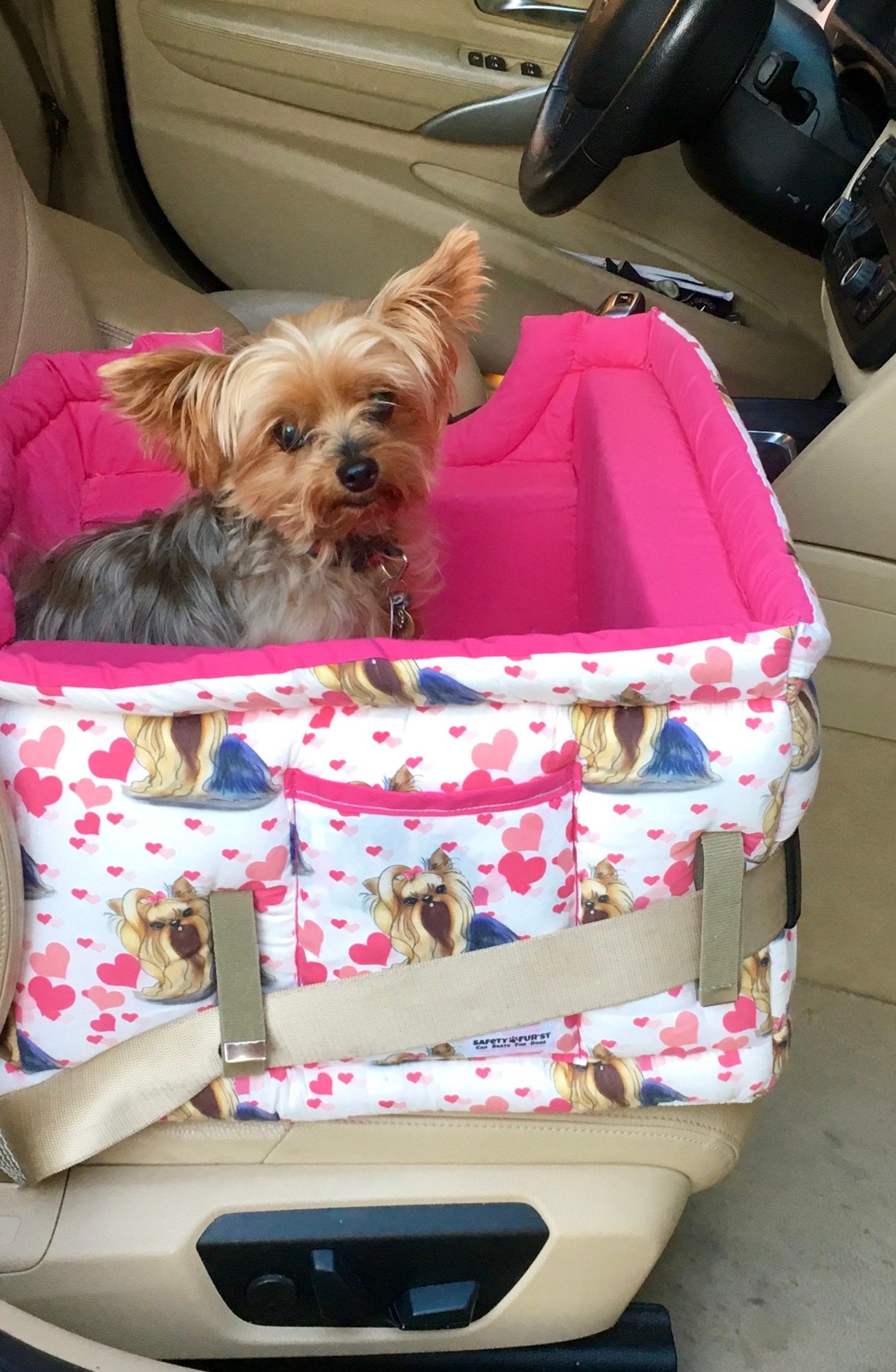 Dog Car Seat for the Backseat | Etsy