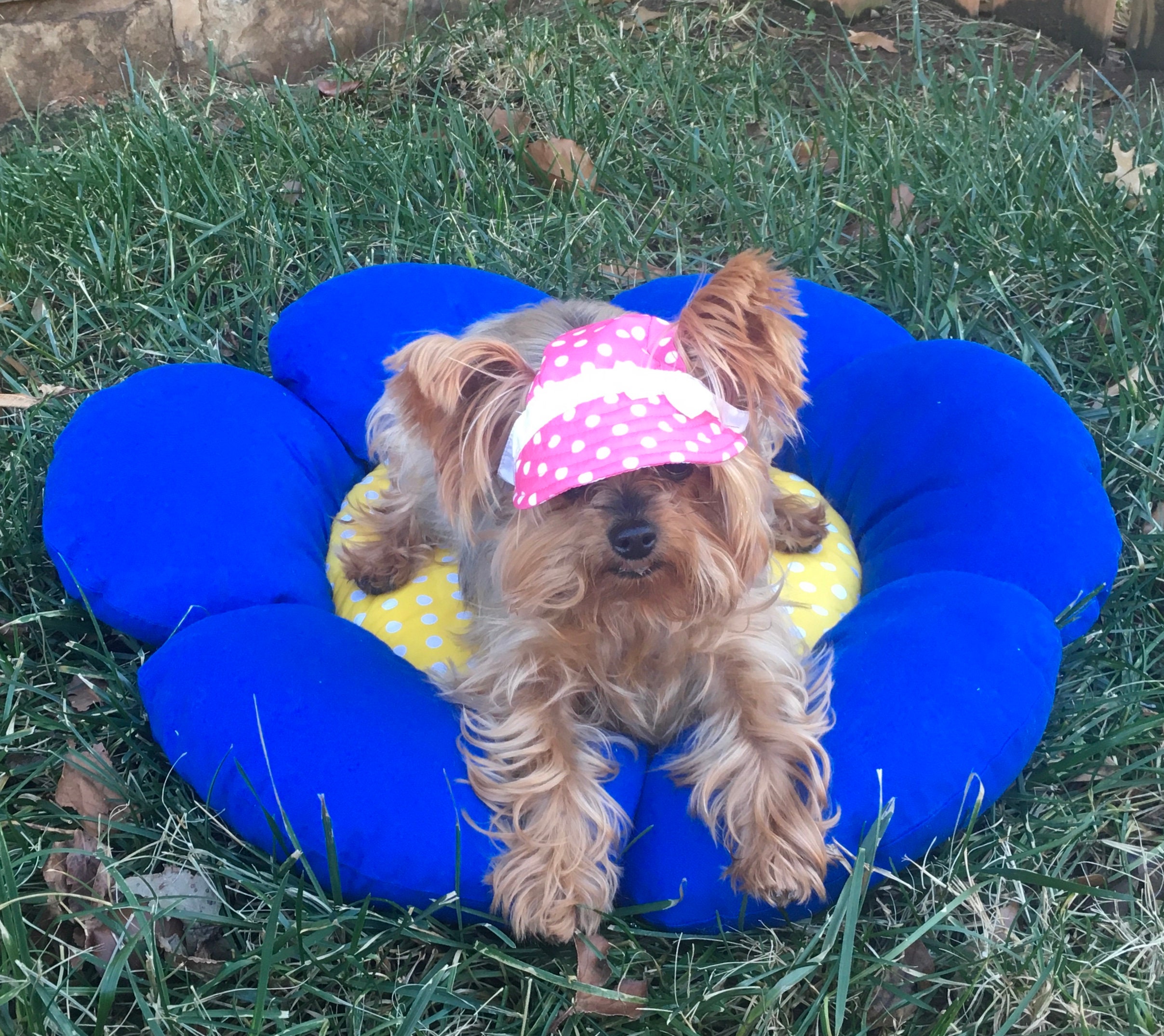 Blue and Yellow Flower-shaped Dog Bed for Small Dogs / Flower | Etsy