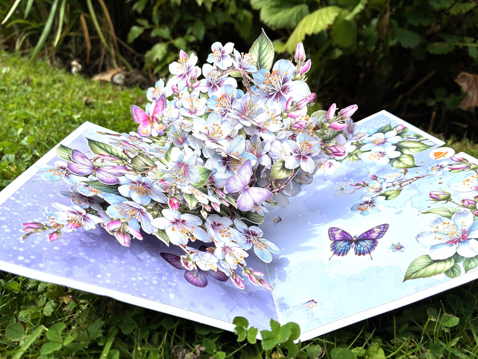Beautifully Elegant 3D Pop-up Apple Blossom Greeting Card & Envelope - Etsy