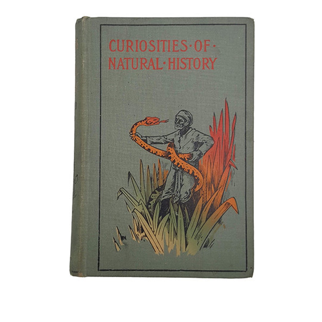 Curiosities of Natural History by Francis T. Buckland - Macmillan, 1903 ...