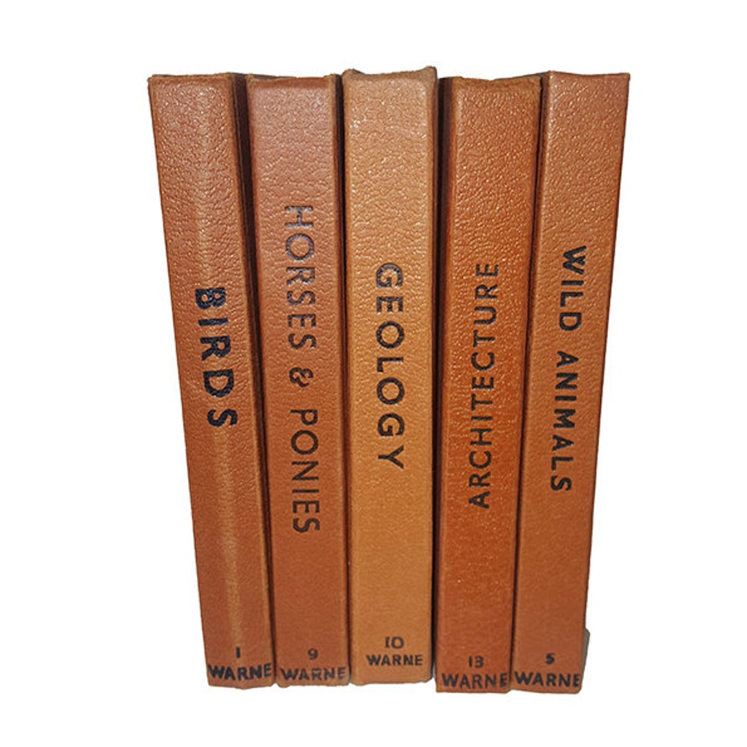 Observer Five Book Brown Collection - Etsy