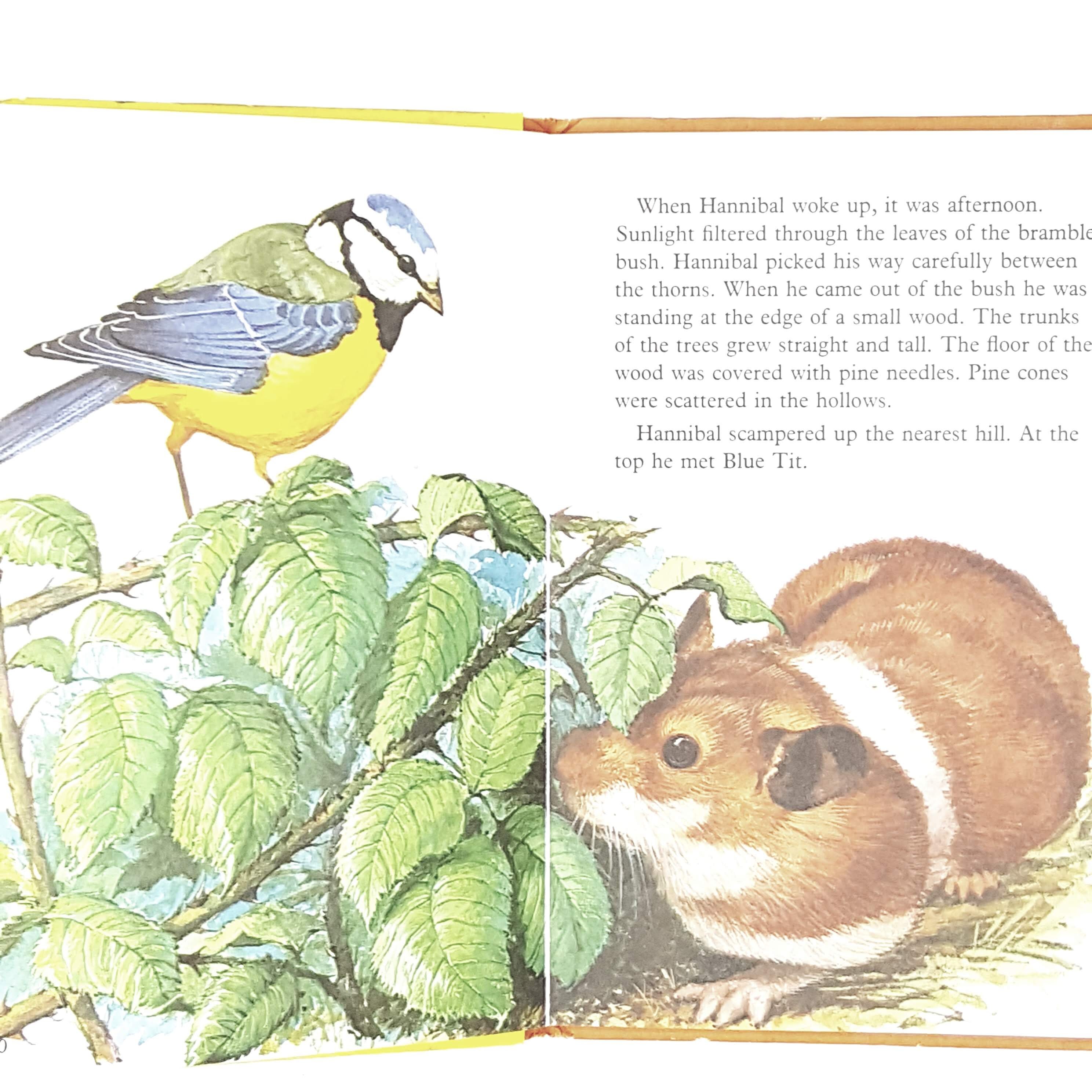 Hannibal on the Nature Trail by Raymond Howe 1978 - Etsy