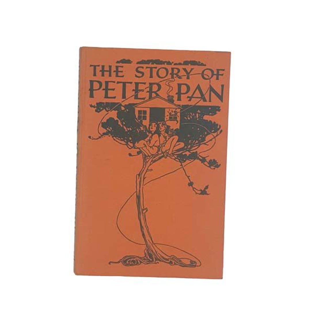 J. M. Barrie's the Story of Peter Pan 1973 - Etsy