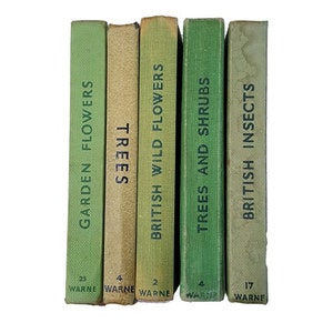 Observer Five Book Green Collection - Etsy