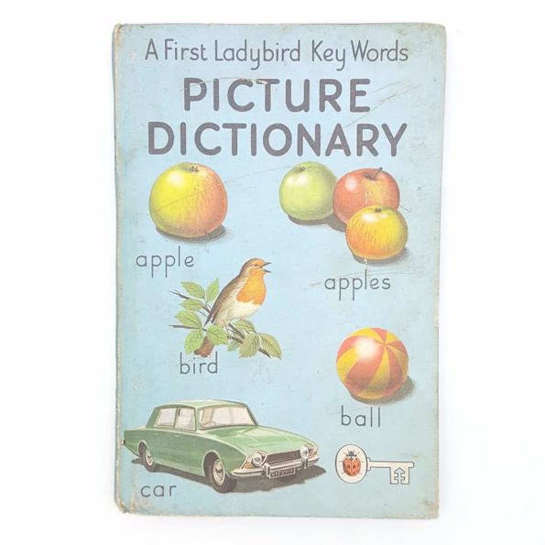 First Edition Ladybird: A First Picture Dictionary 1965 - Etsy