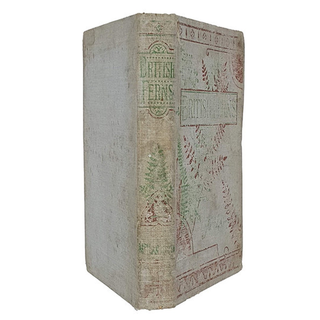 British Ferns by Mrs Lankester Gibbings 1903 - Etsy