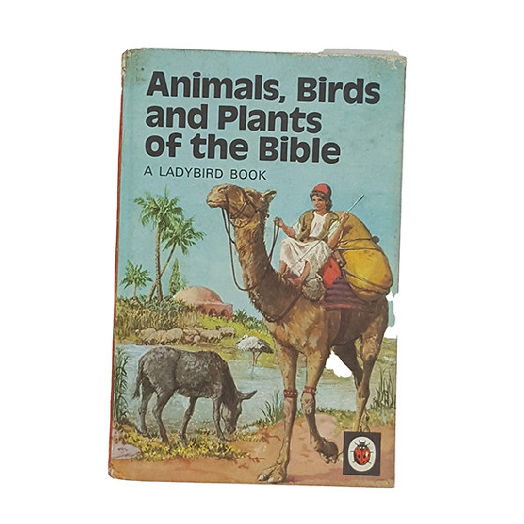 Ladybird 649: Animals, Birds and Plants of the Bible 1964 - Etsy