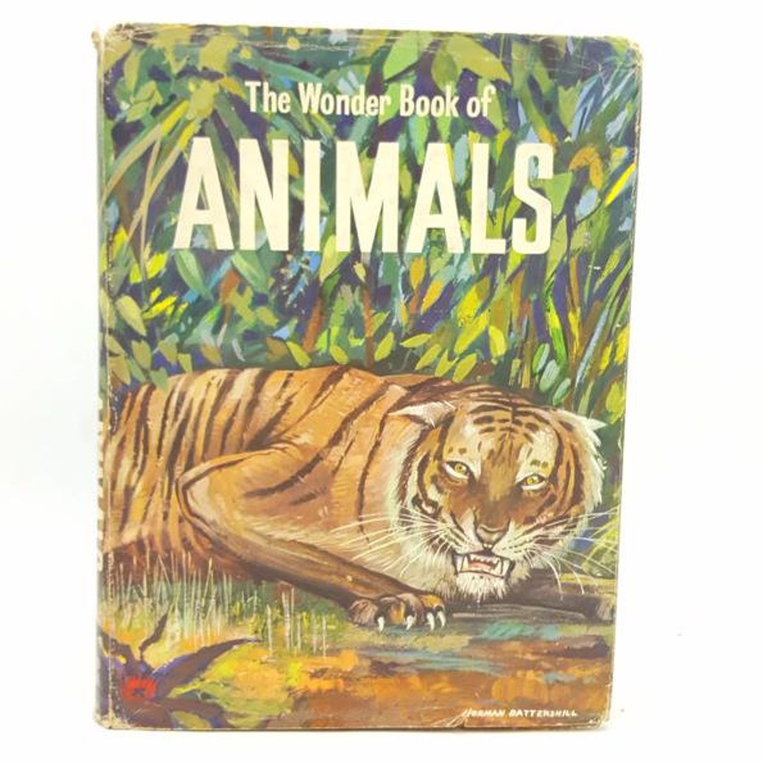 The Wonder Book of Animals 1960 - Etsy