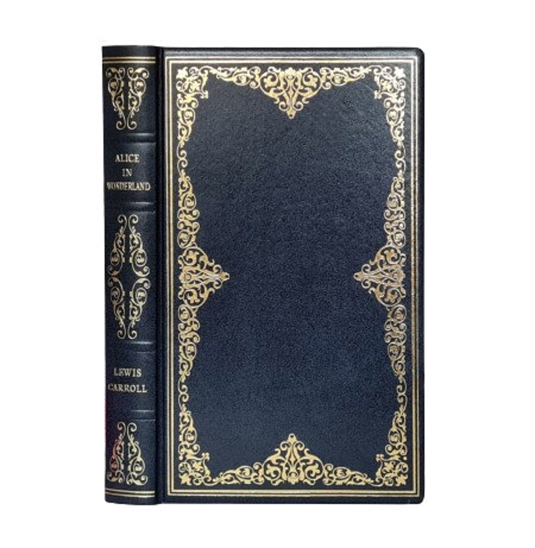 Alice in Wonderland by Lewis Carroll Heron, Illustrated - Etsy