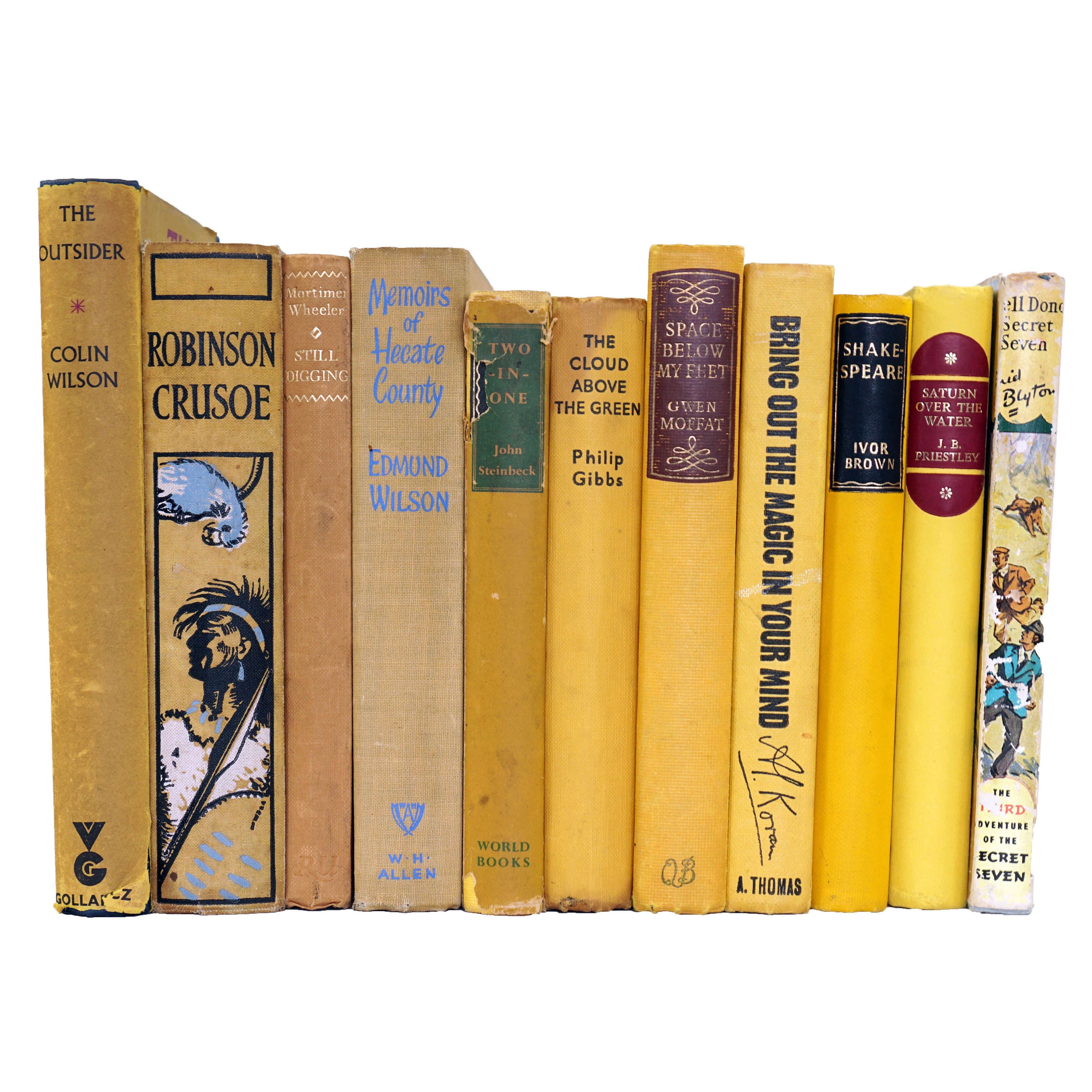 Out Of My Mind Book Spine