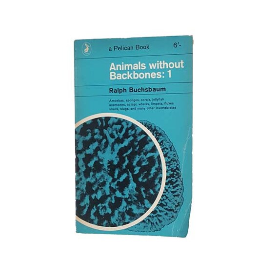 Animals Without Backbones Book
