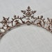 Stunning Snowflake Tiara With Accent Colour Crystal Crystal Tiara ...