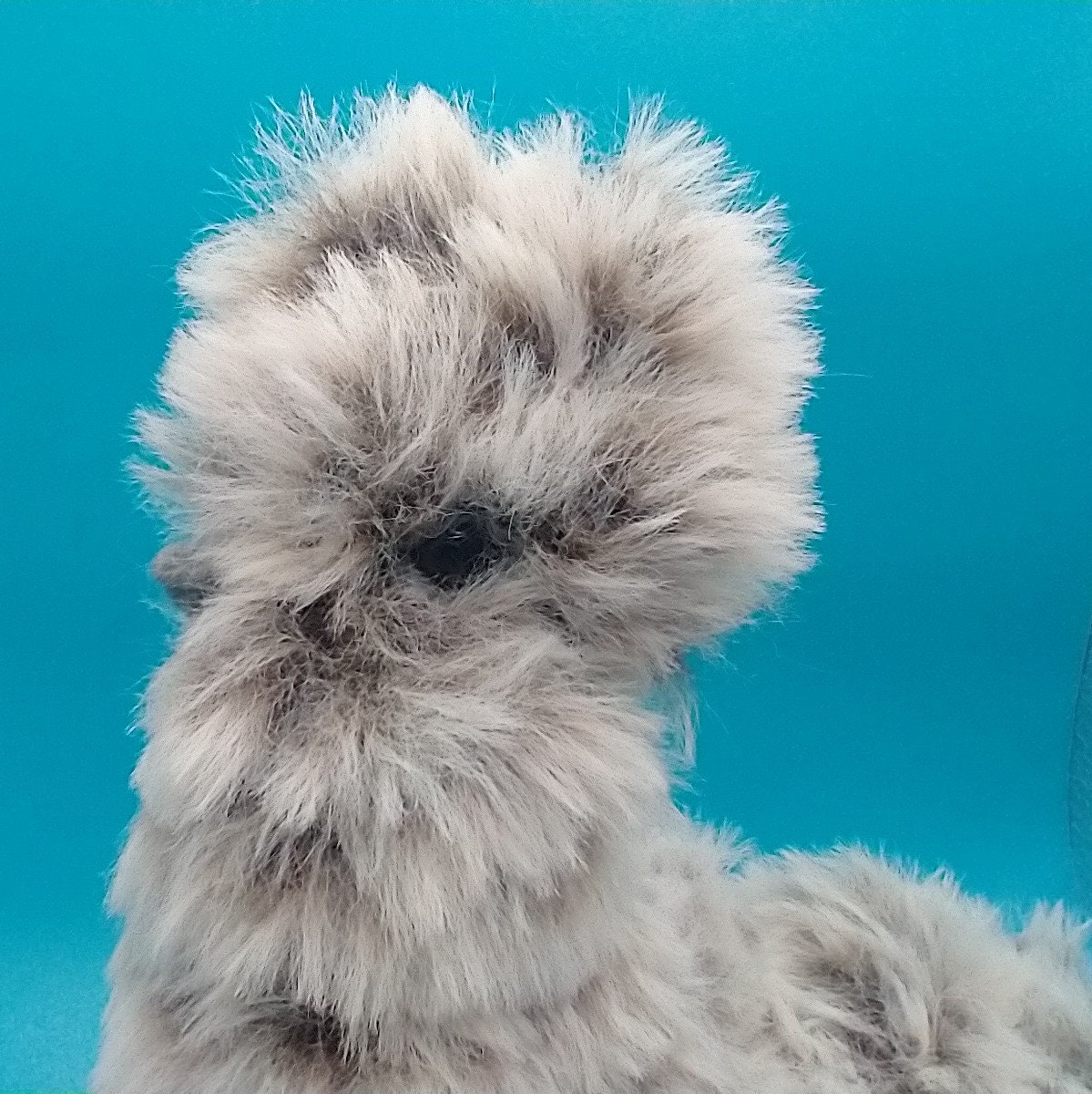 Silkie Chicken Plush Stuffed Amugurumi, Frizzle Bantam Hen, Soft Fuzzy ...