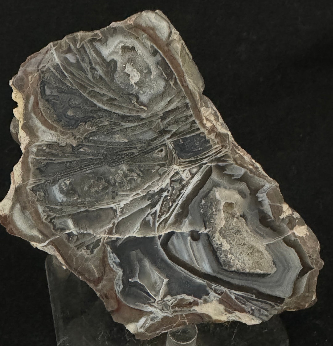 Lava Cap Thunderegg - Etsy