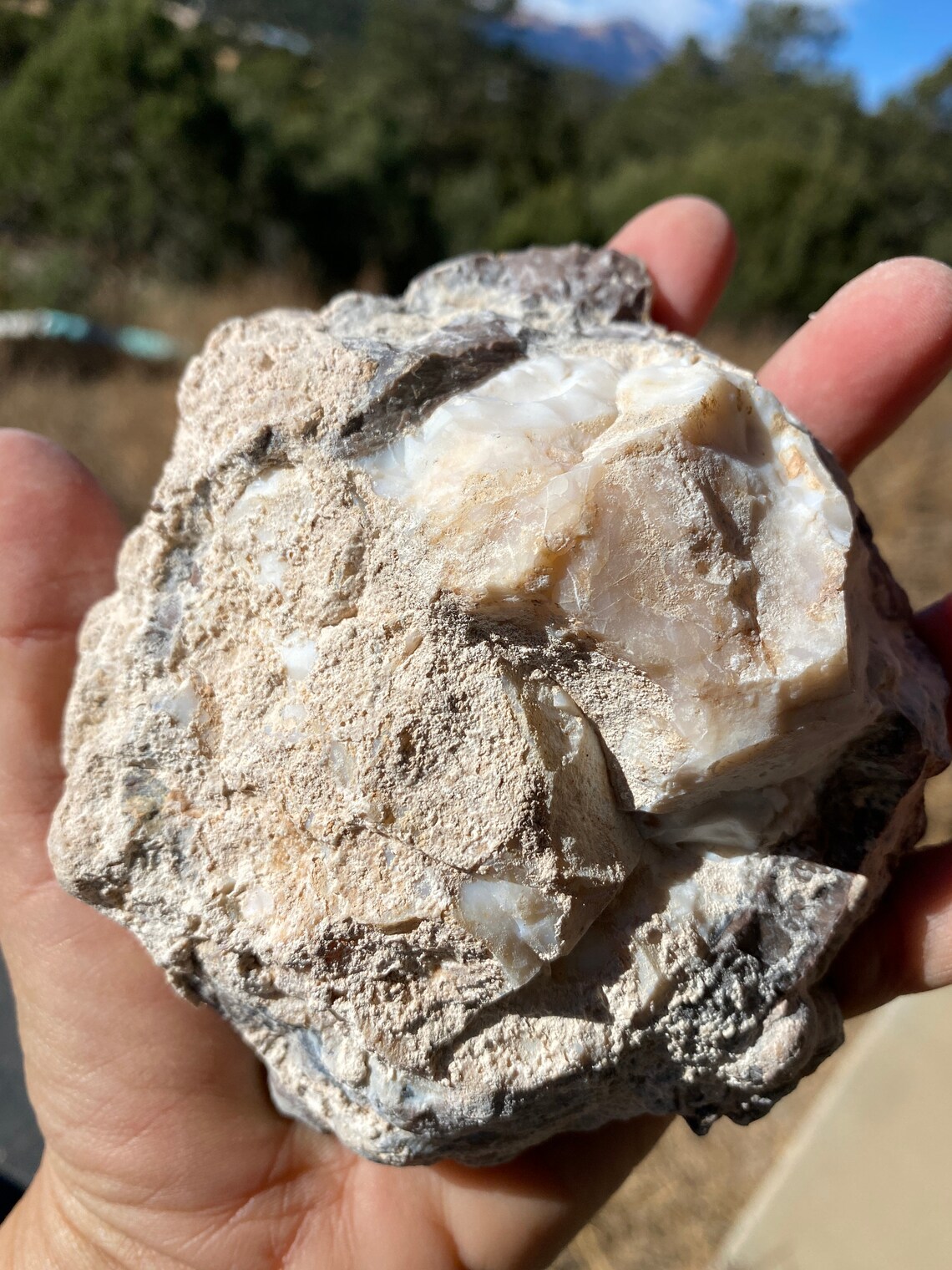 Lava Cap Thunderegg - Etsy