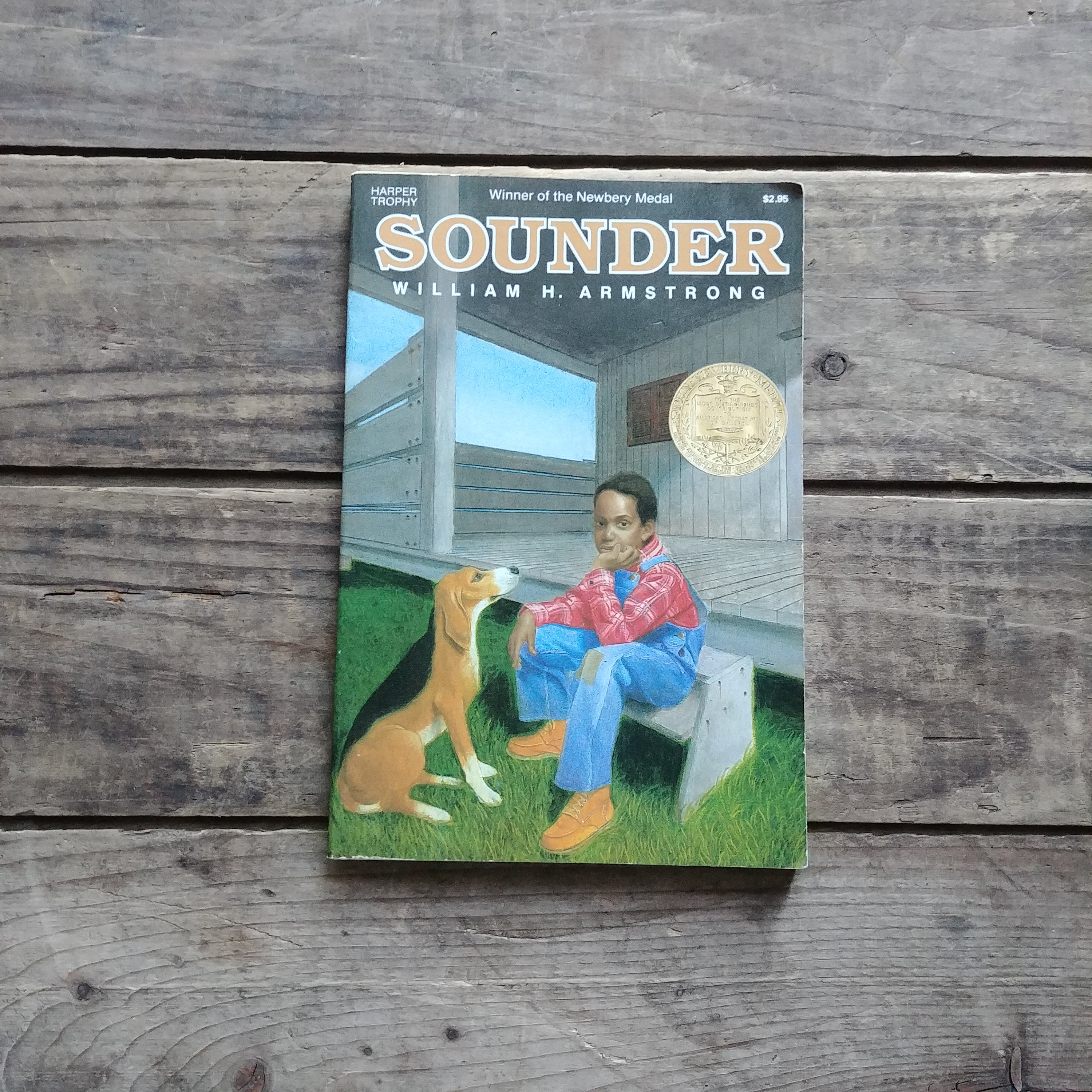 Sounder Vintage Kid's Chapter Book by William H. - Etsy UK