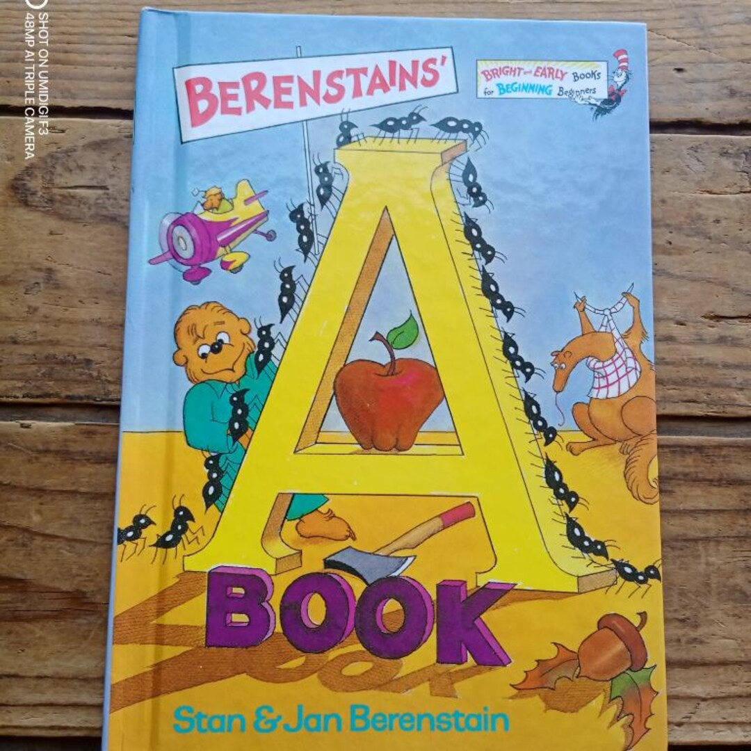 Berenstain's A Book, a Children's Book, the Berenstain Bears, Stan and ...