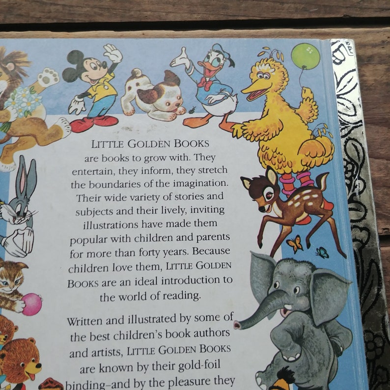 Tiny Toon Adventures Happy Birthday Babs Little Golden Book - Etsy