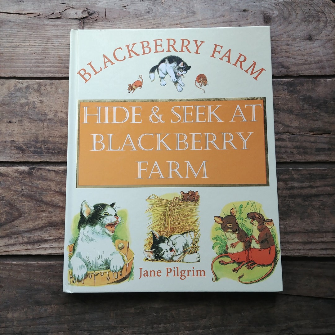Hide and Seek at Blackberry Farm, A Children's Book by Jane Pilgrim - Etsy
