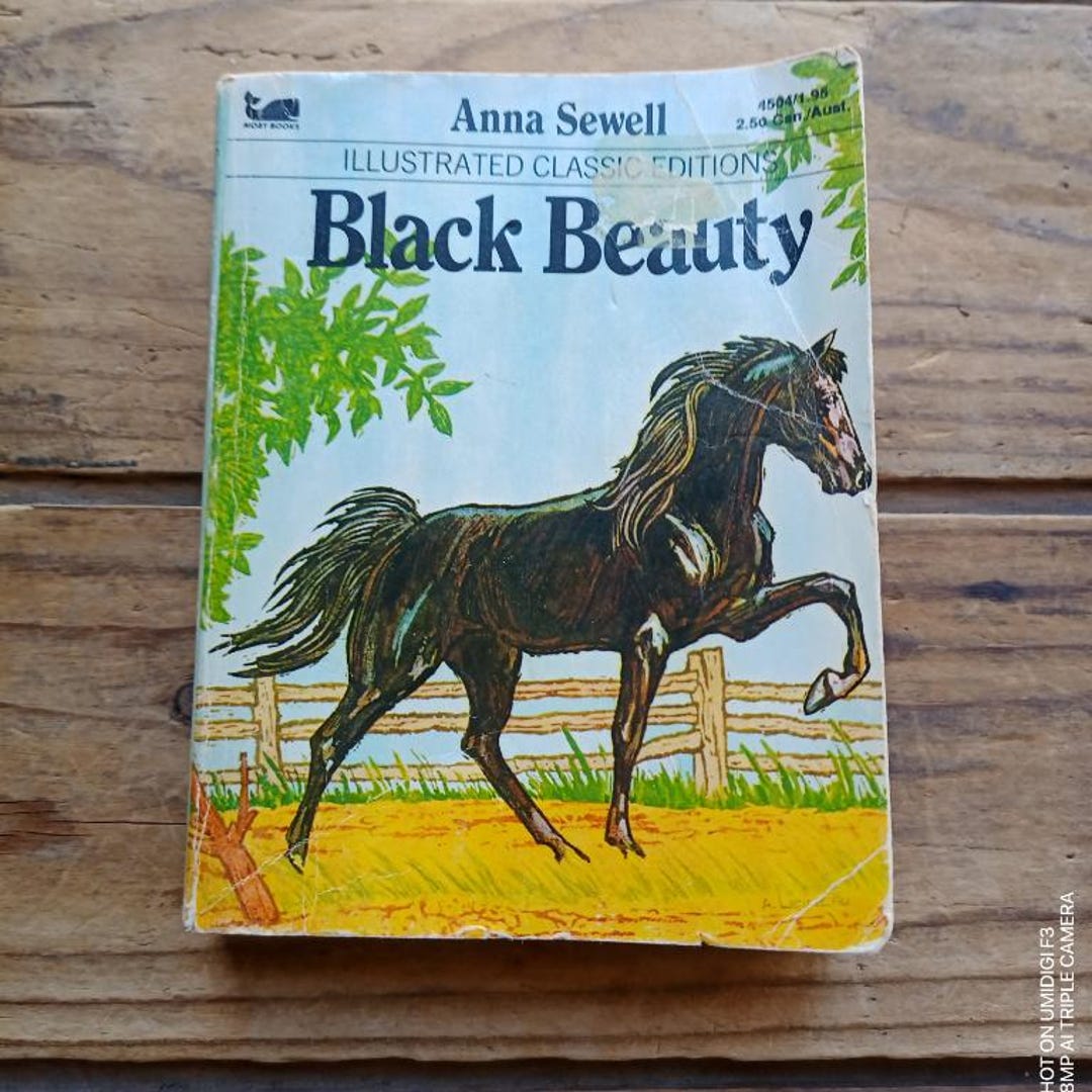 Black Beauty, a Children's Book by Anna Sewell, Adapted, Illustrated ...