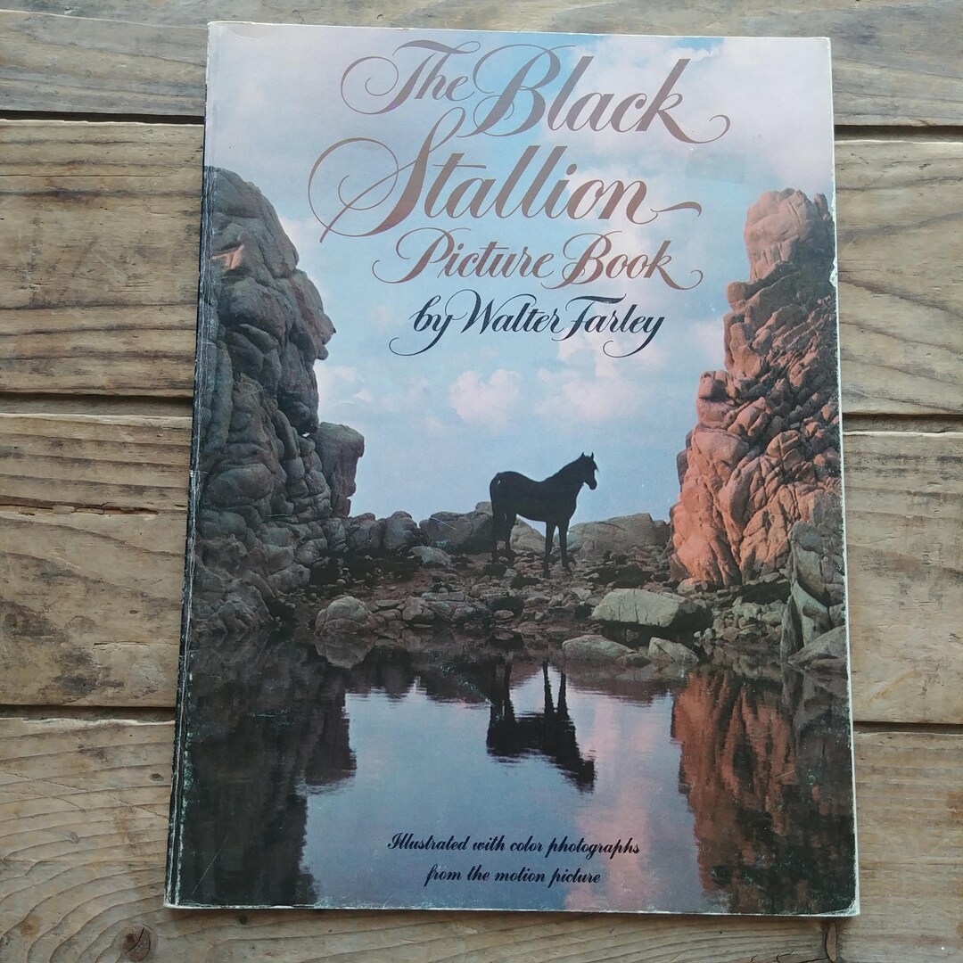 The Black Stallion Picture Book by Walter Farley, Horse Story for ...