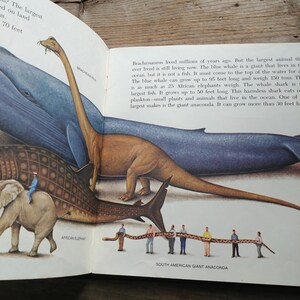 Did You Know Vintage Kid's Paperback Book, Random House Pictureback - Etsy