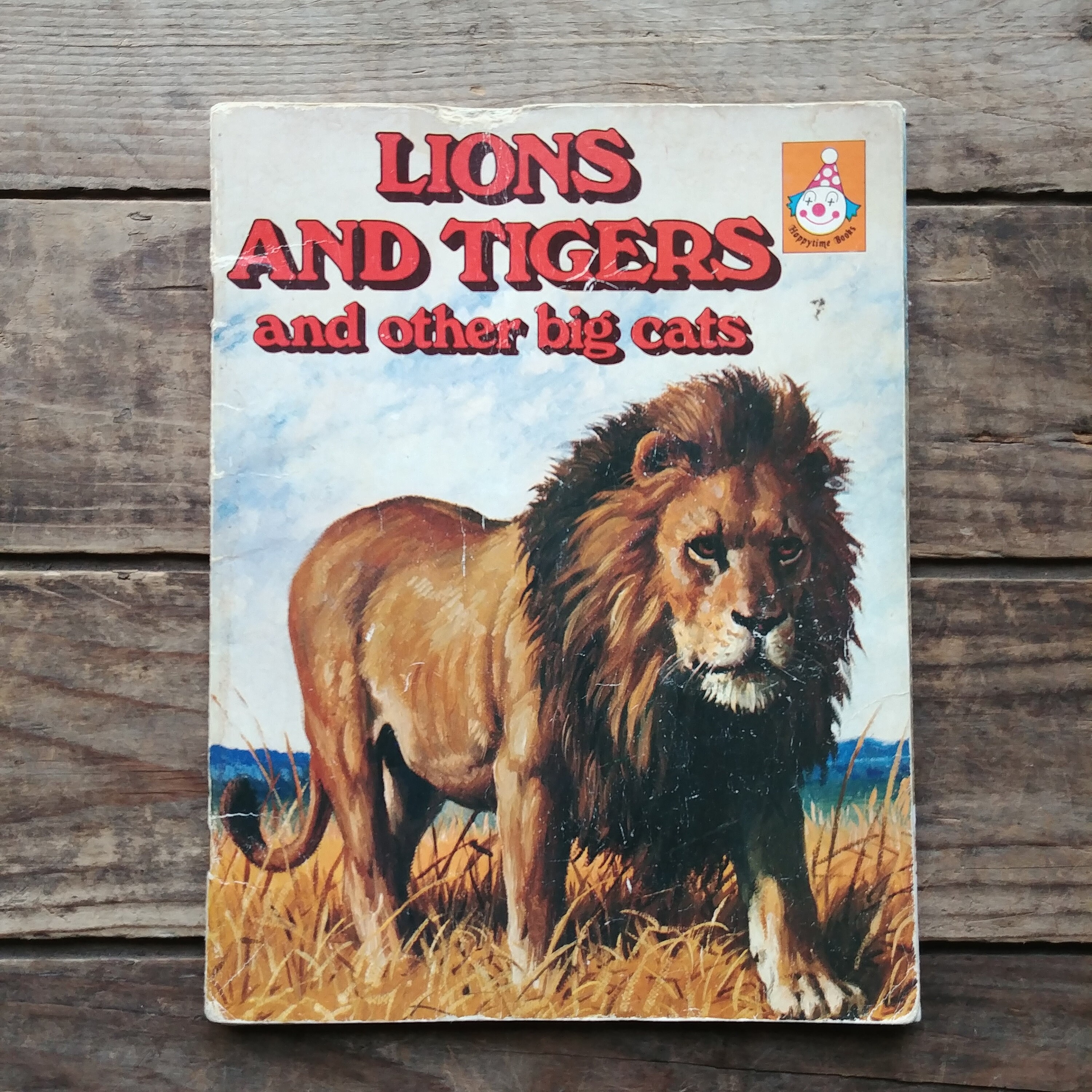 Lions and Tigers and Other Big Cats Vintage 1970s Book About - Etsy