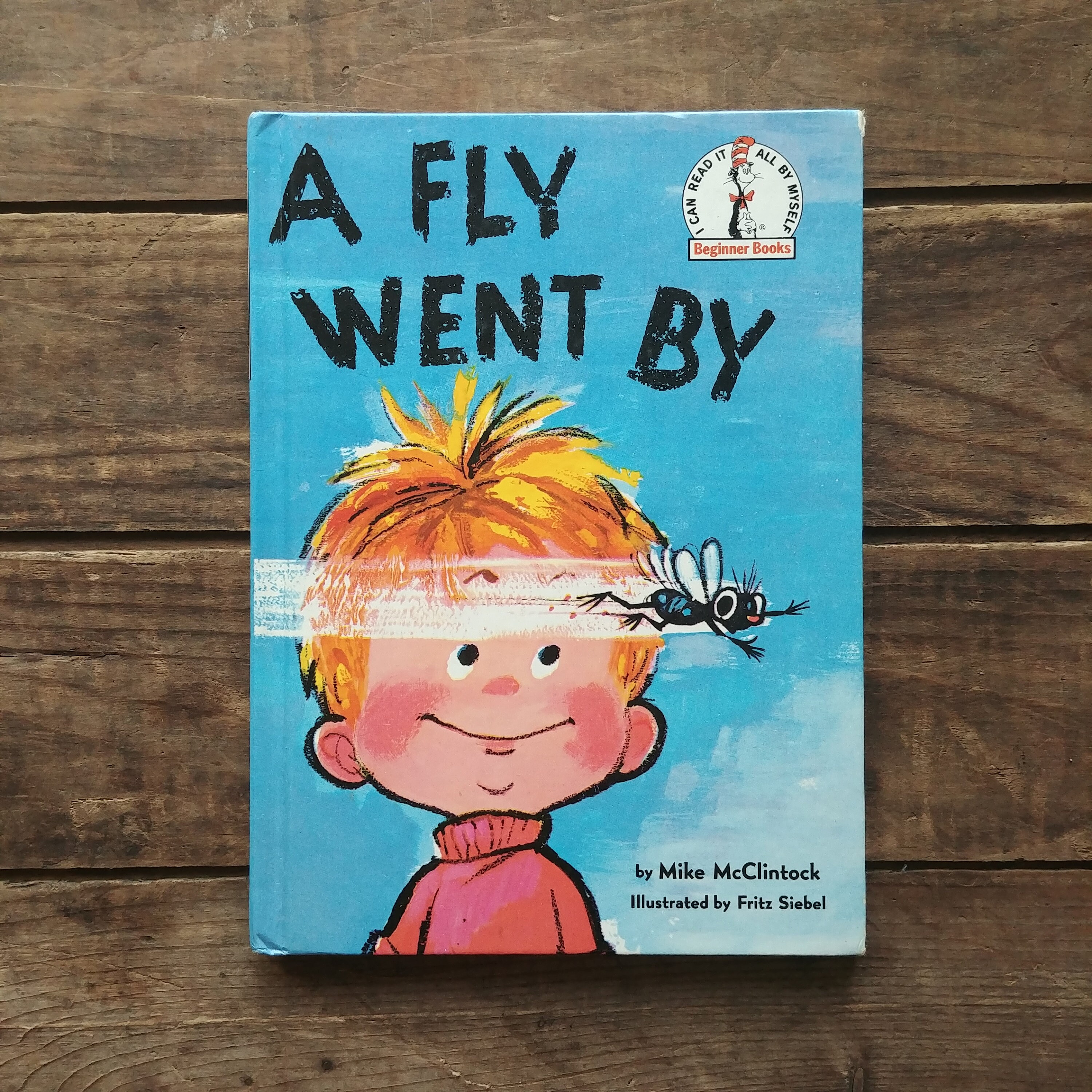 A Fly Went By Mike Mcclintock Vintage 1986 - Etsy