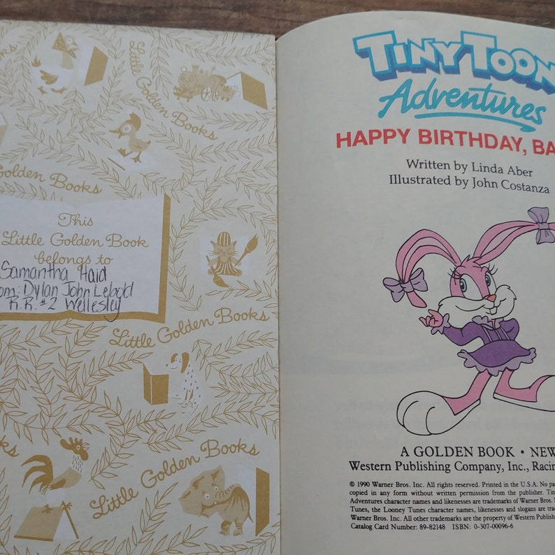 Tiny Toon Adventures Happy Birthday Babs Little Golden Book - Etsy