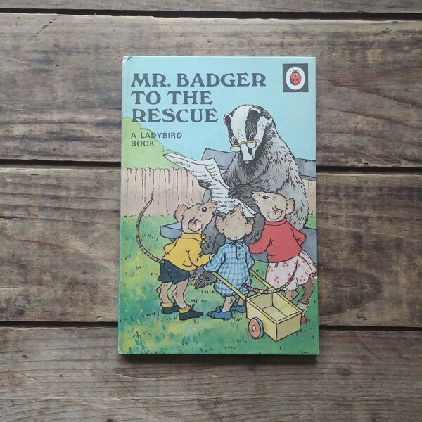 Mr Badger - Etsy