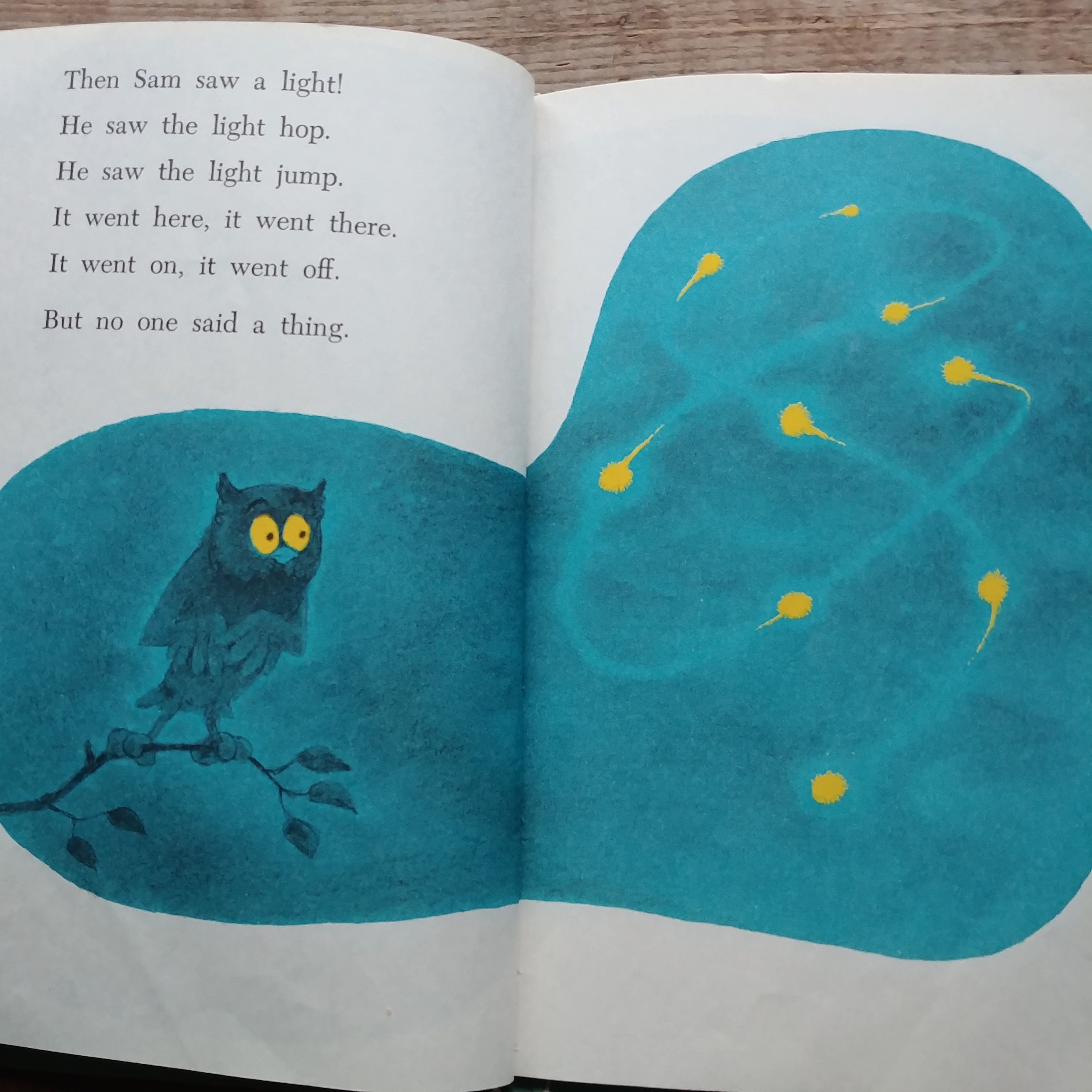 Sam and the Firefly, Vintage Kids Book - Etsy