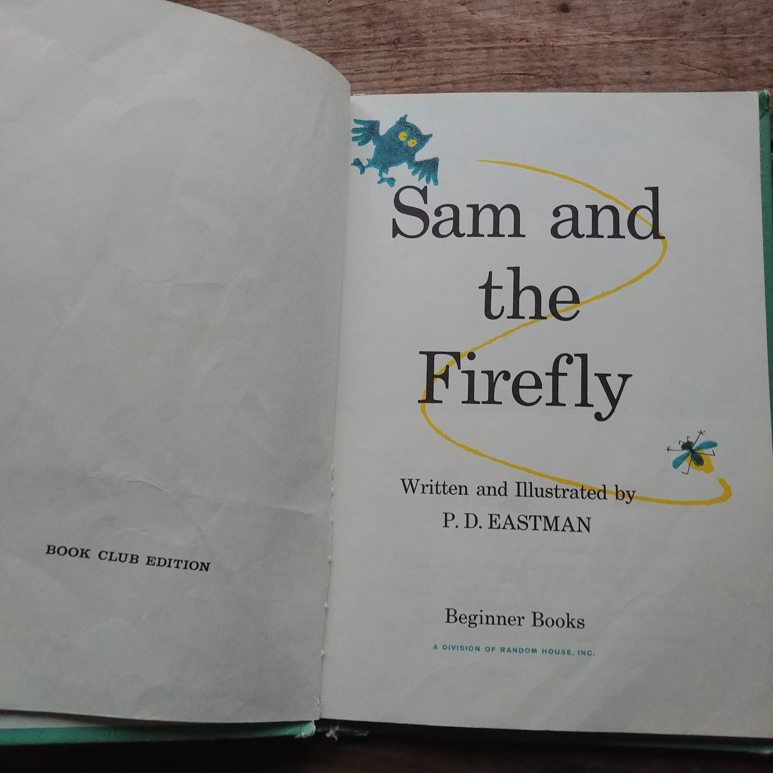 Sam and the Firefly Vintage Kids Book - Etsy