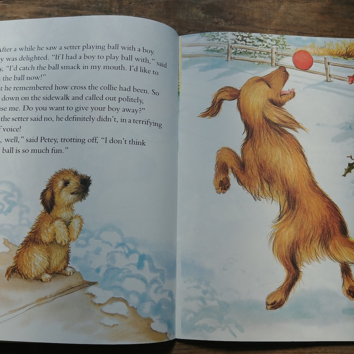 The Puppy Who Wanted a Boy Children's Paperback Book by - Etsy
