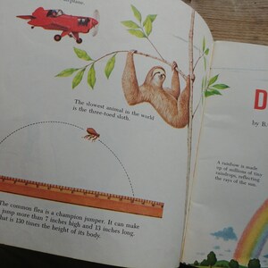 Did You Know Vintage Kid's Paperback Book, Random House Pictureback - Etsy